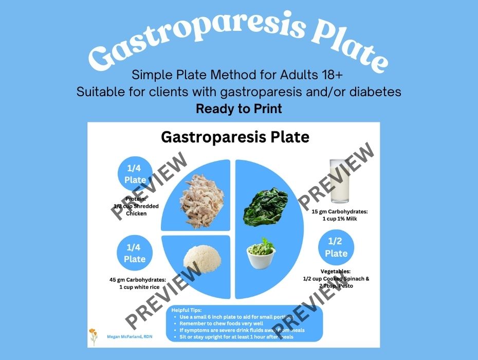 Gastroparesis Plate - Well Resourced Dietitian