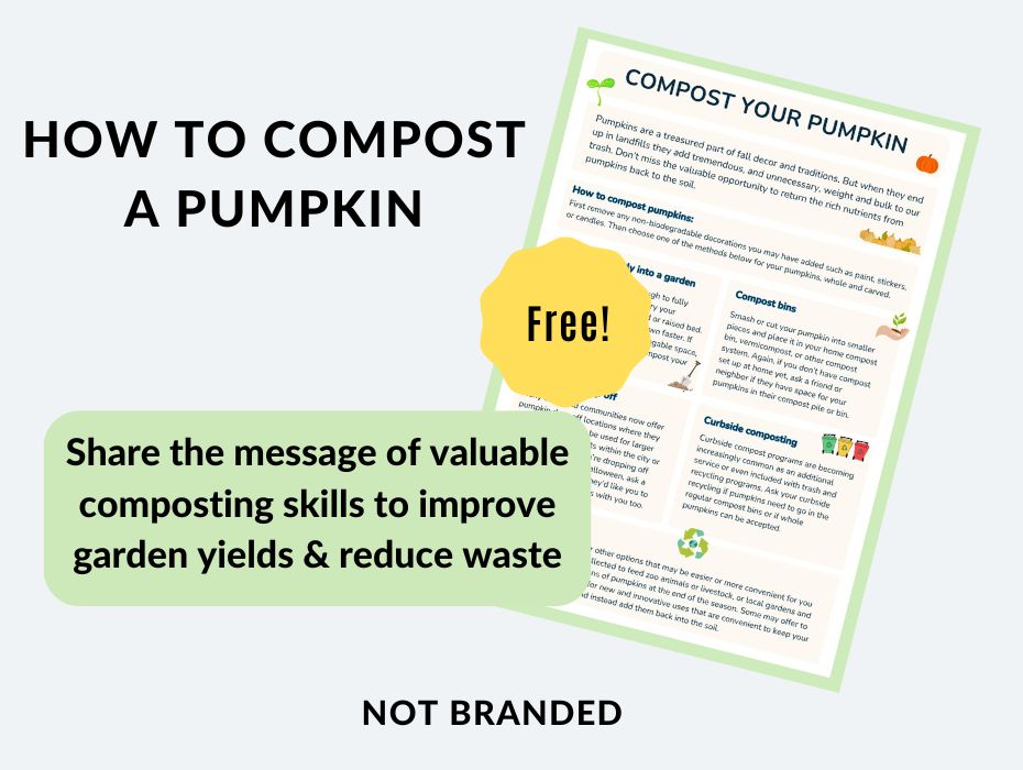 How to compost a pumpkin - Well Resourced Dietitian