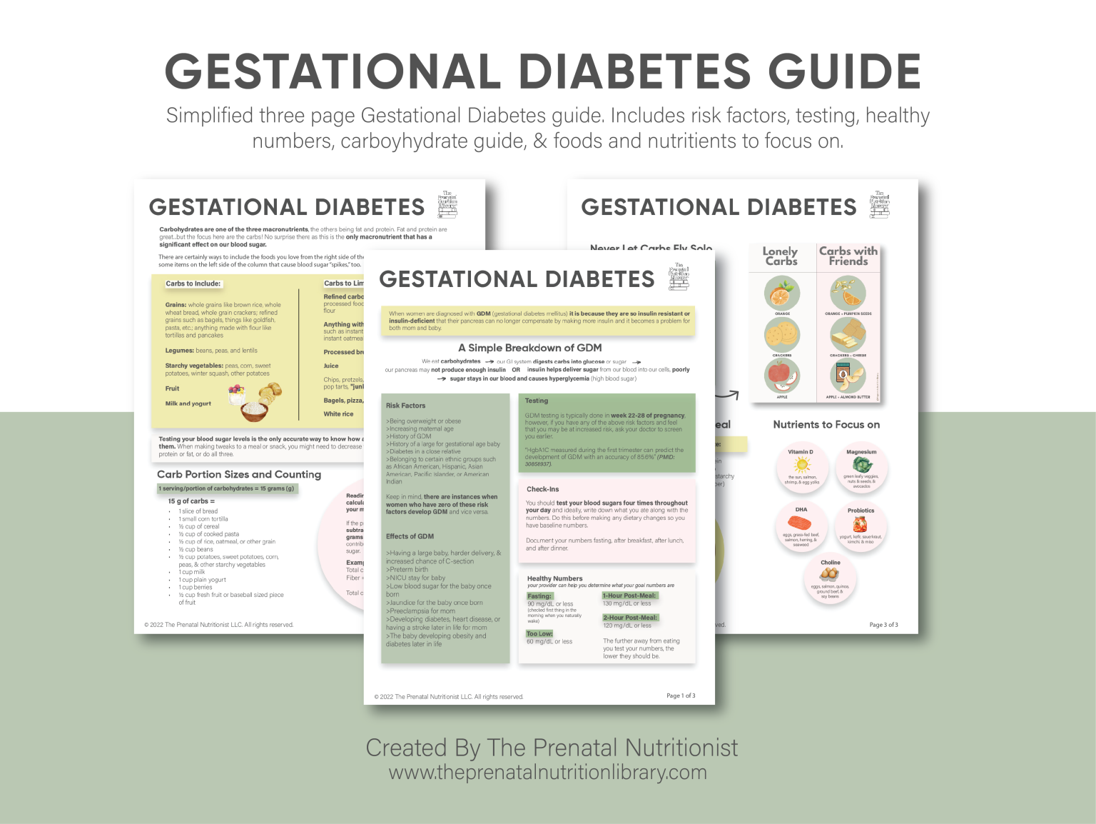 Gestational Diabetes Guide Well Resourced Dietitian