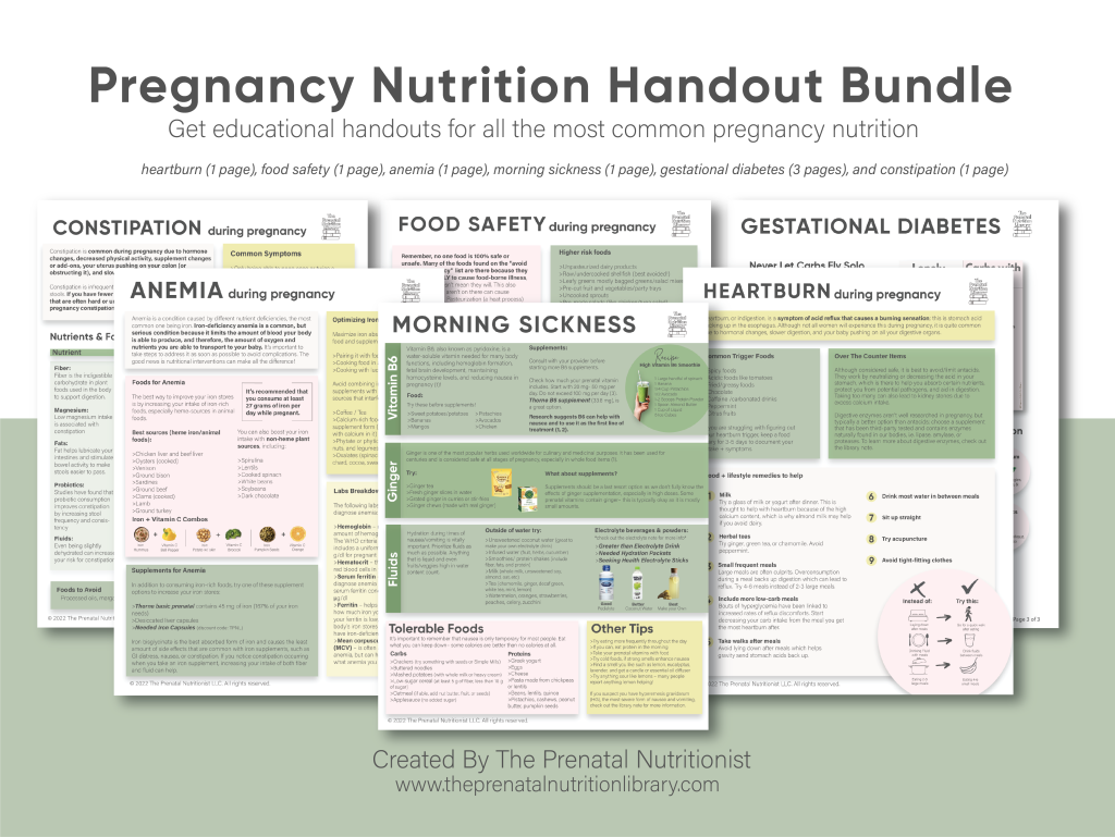 Pregnancy Nutrition Handout Bundle - Well Resourced Dietitian