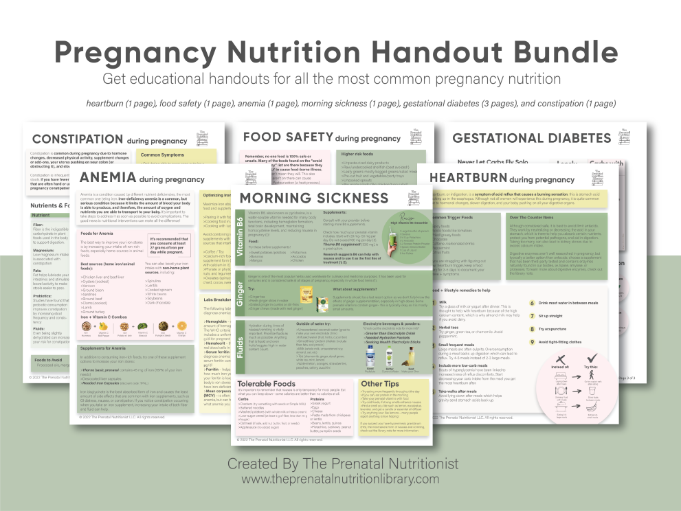 Pregnancy Nutrition Handout Bundle - Well Resourced Dietitian