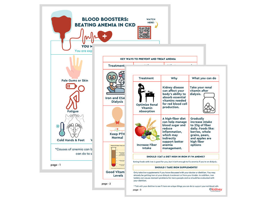 Blood Boosters: Beating Anemia in CKD Handout for kidney patients ...