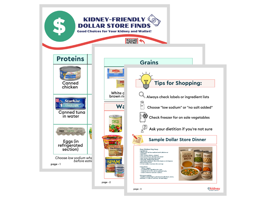 Kidney-Friendly Dollar Store Finds: Food insecurity for dialysis ...