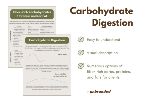 Carbohydrate Digestion - Well Resourced Dietitian